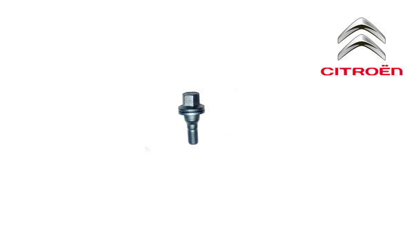 Citroen Wheel Bolt For Alloy Wheel | Citroen Locking Wheel Nuts & Keys ...
